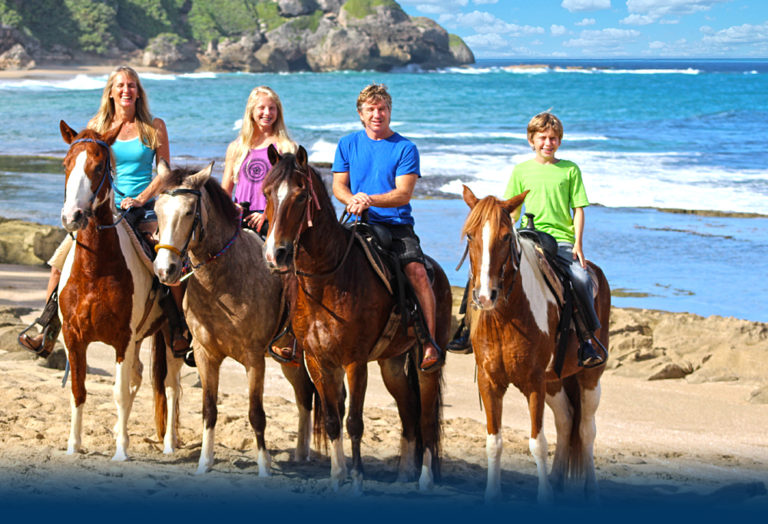 The best horseback ride experience in Puerto Rico